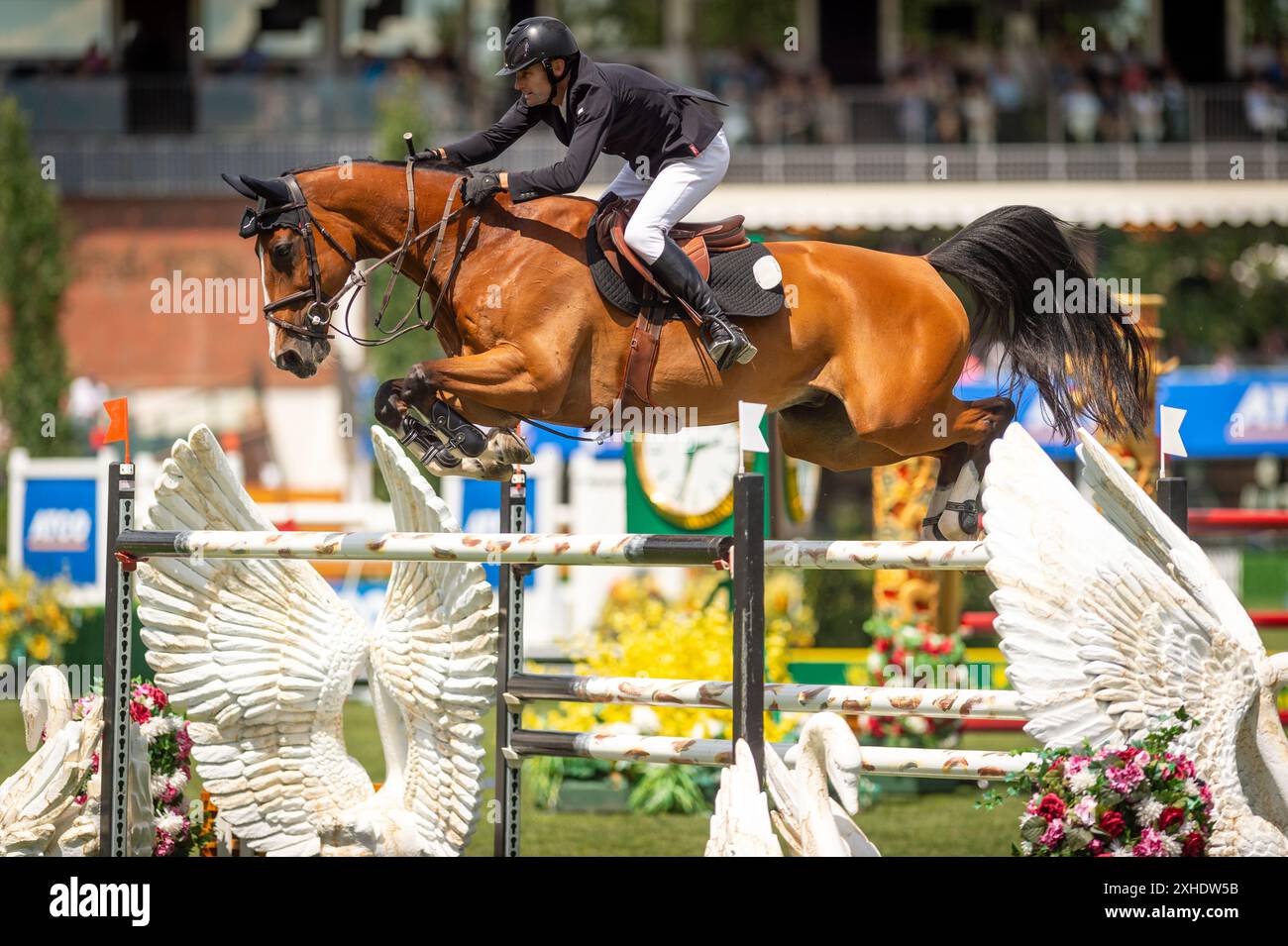 Show jumping in Spruce Meadows Stock Photo - Alamy