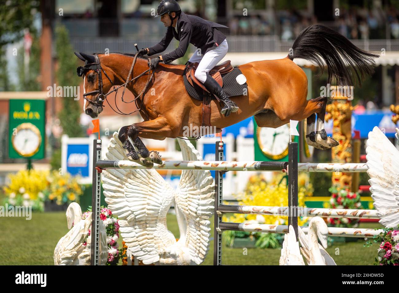 Show jumping in Spruce Meadows Stock Photo - Alamy