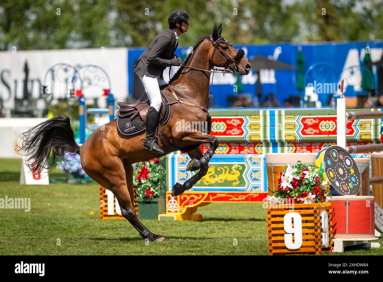 Show jumping in Spruce Meadows Stock Photo - Alamy