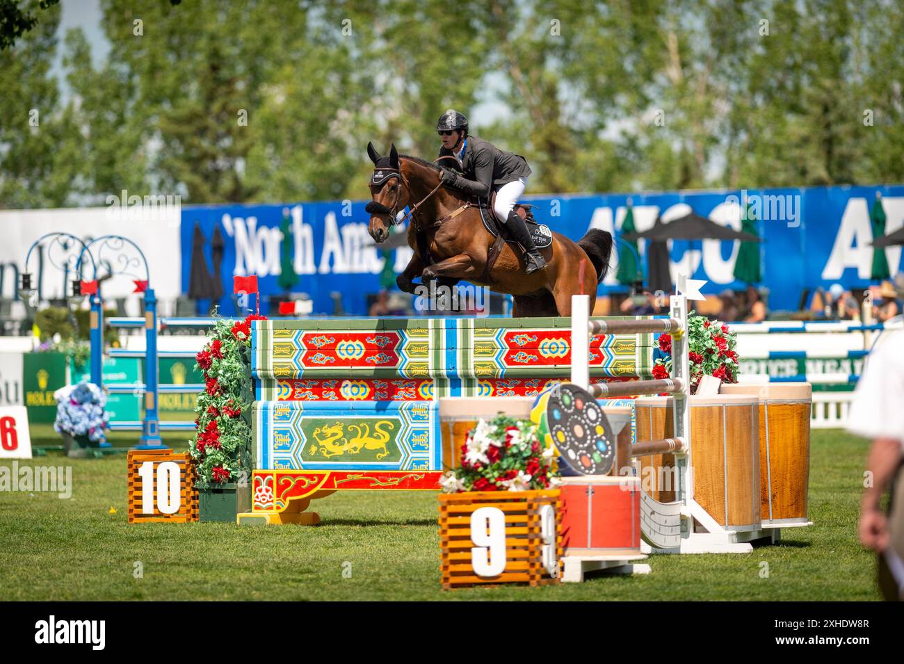 Show jumping in Spruce Meadows Stock Photo - Alamy