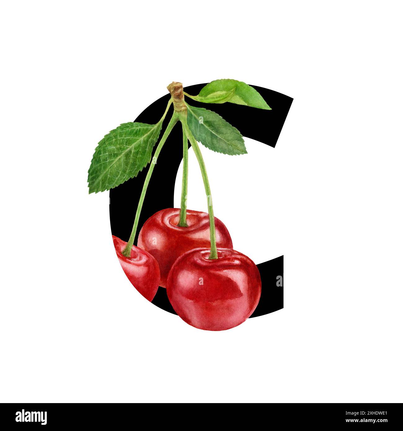 A watercolor cherry illustration featuring the letter C, part of a ...