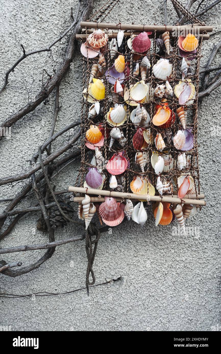 Colorful Dry seashells hanging on the wall Stock Photo - Alamy
