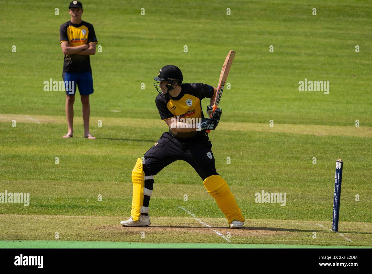 Action sport cricket celebrating victory hi-res stock photography and ...