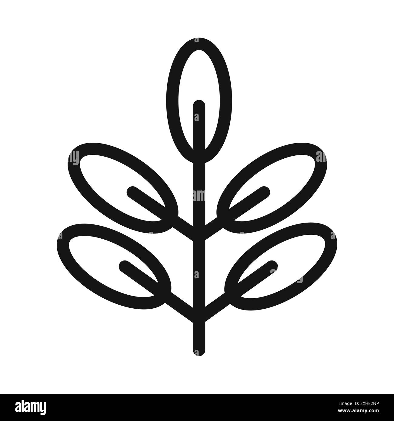 Acacia icon Vector symbol or sign set collection in black and white ...