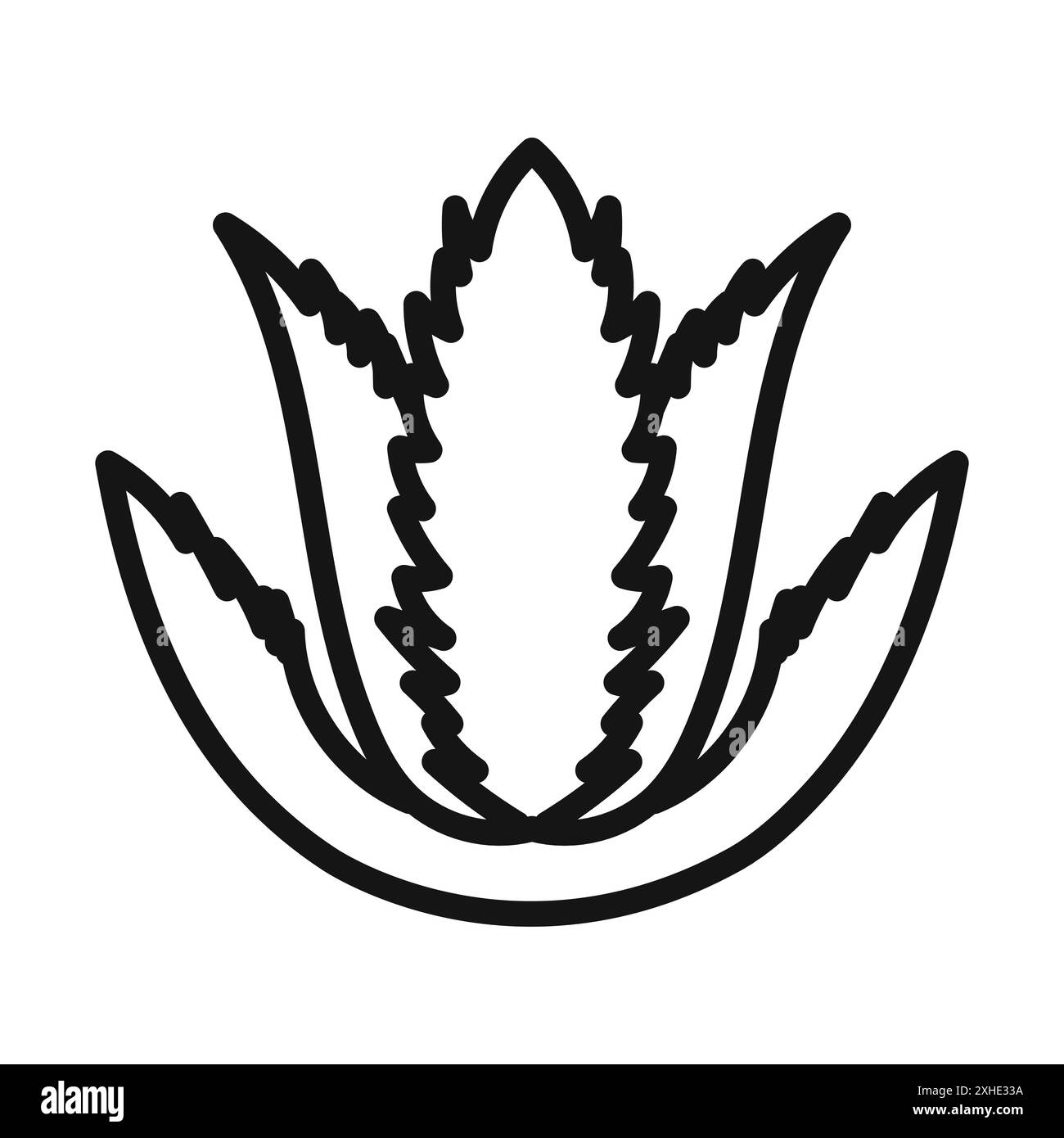 aloe vera icon Vector symbol or sign set collection in black and white ...