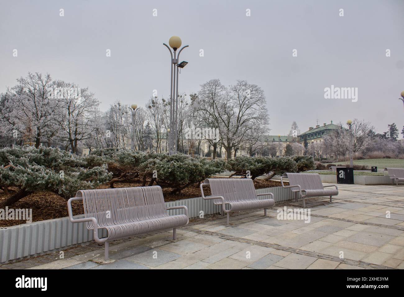 Park in Bratislava in winter without snow Stock Photo - Alamy