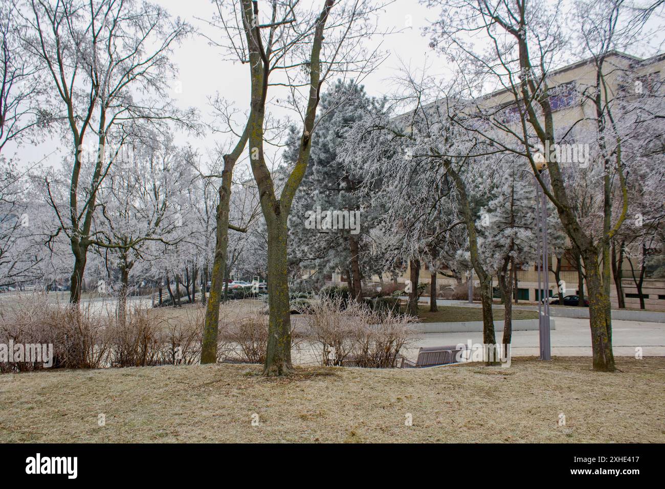 Without park hi-res stock photography and images - Alamy