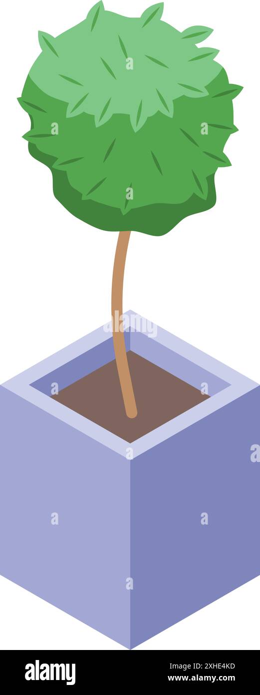 Round shaped bonsai tree growing in a square pot isometric icon is ...