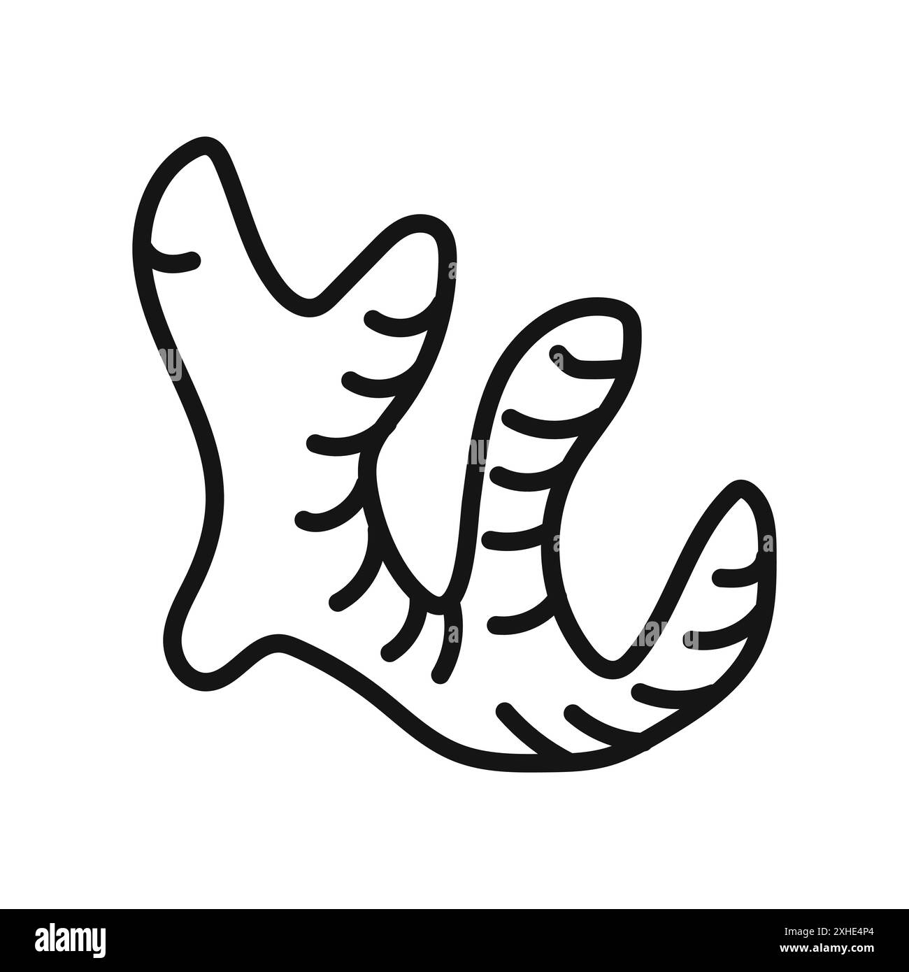 Abstract ginger vector vectors Black and White Stock Photos & Images ...