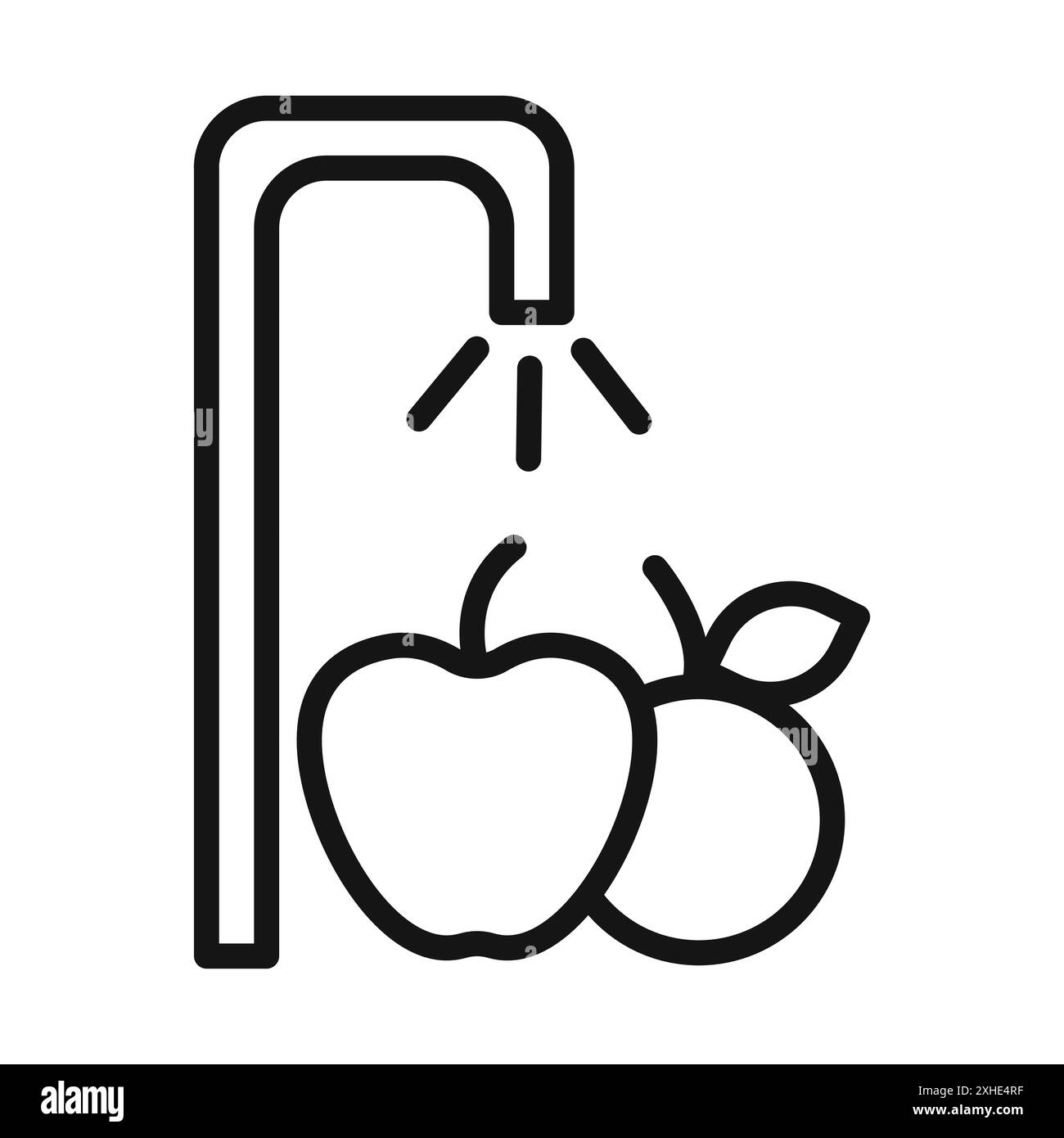 Fruits Washing icon Vector symbol or sign set collection in black and ...