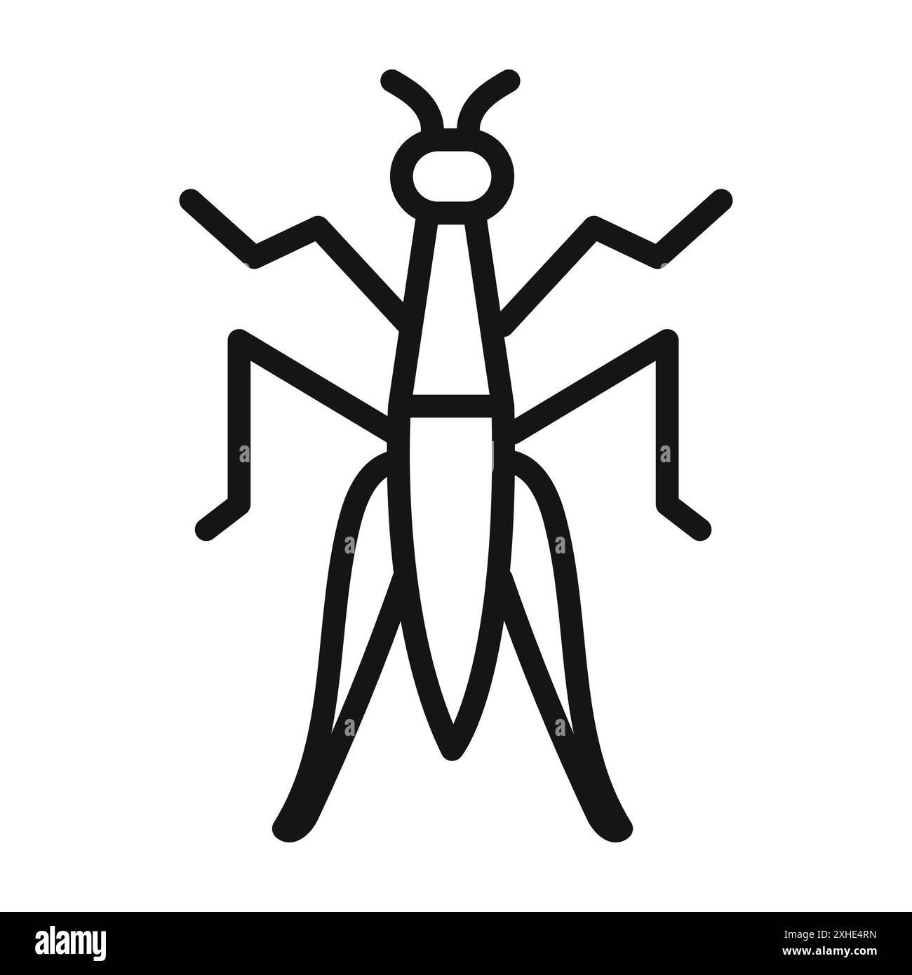 Grasshopper icon Vector symbol or sign set collection in black and ...