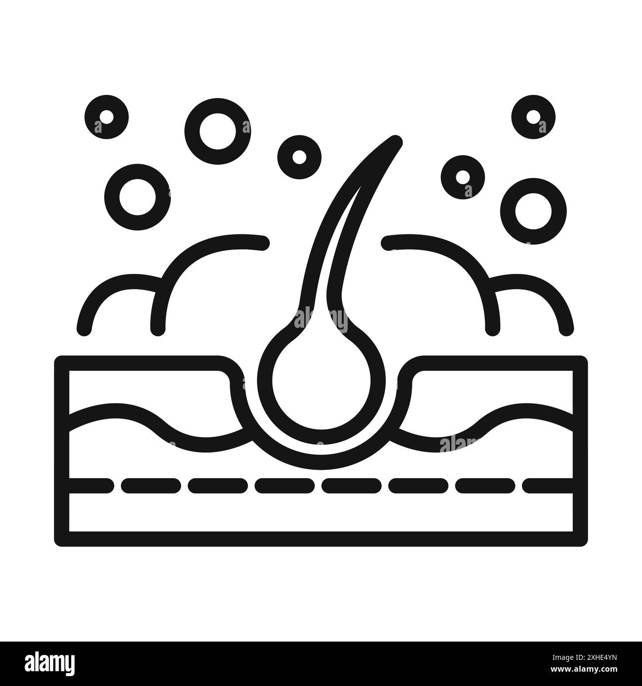 Moisture hair Black and White Stock Photos & Images - Alamy