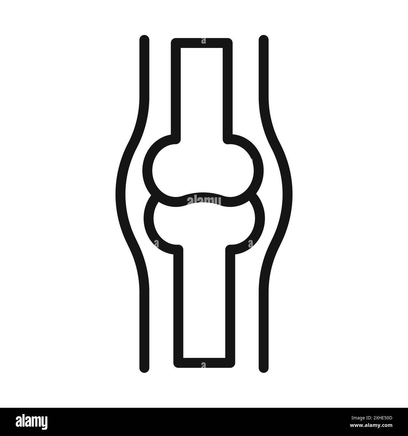 Bone structure osteoporosis Stock Vector Images - Alamy