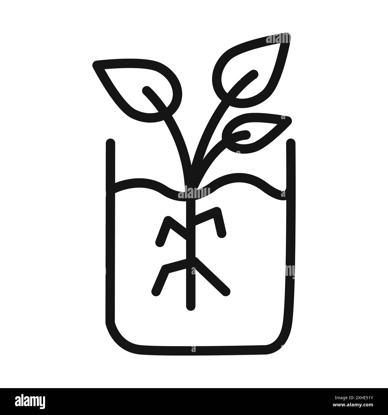 Hydroponics farming pot icon Vector symbol or sign set collection in ...