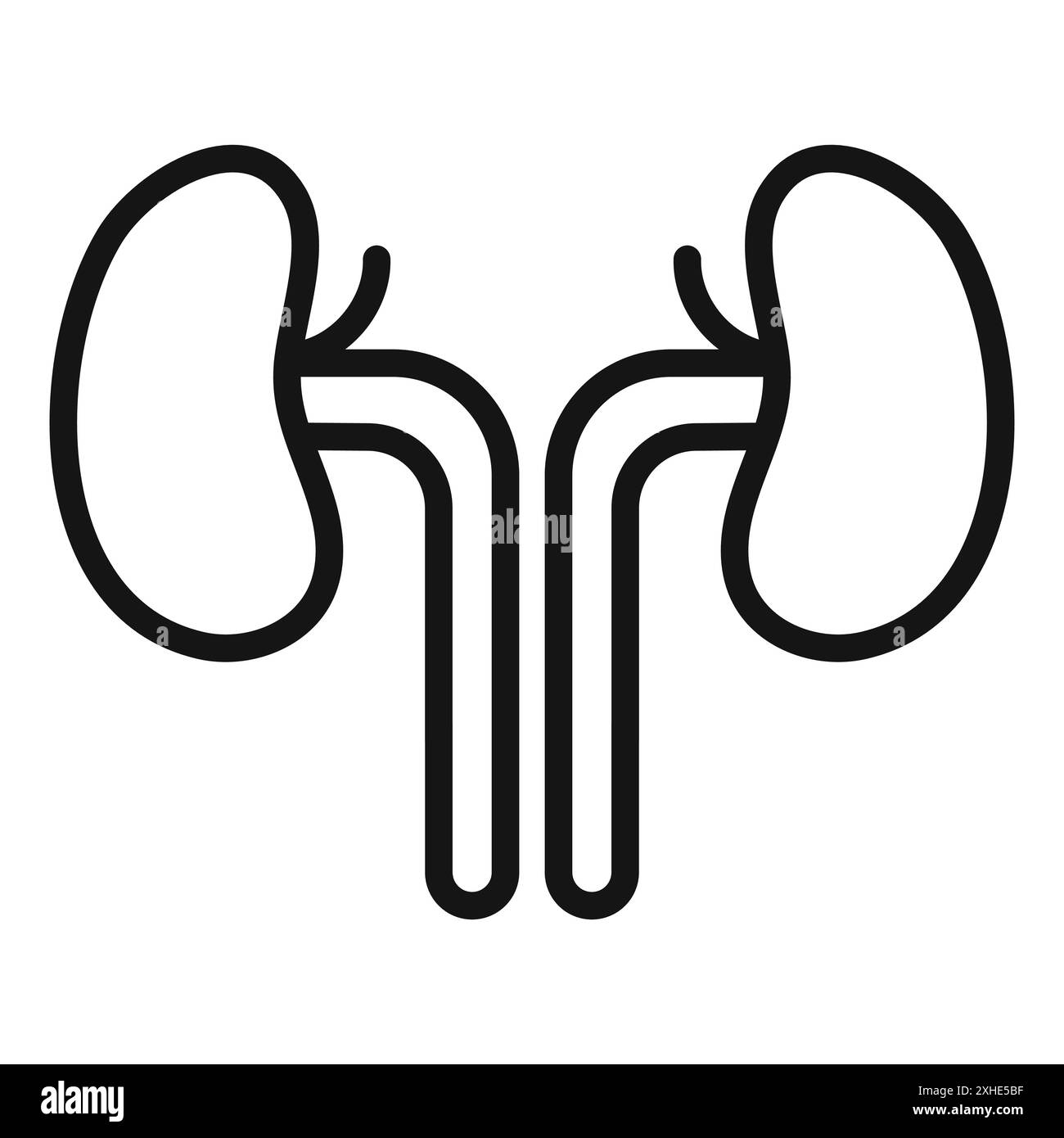 kidney icon Vector symbol or sign set collection in black and white ...