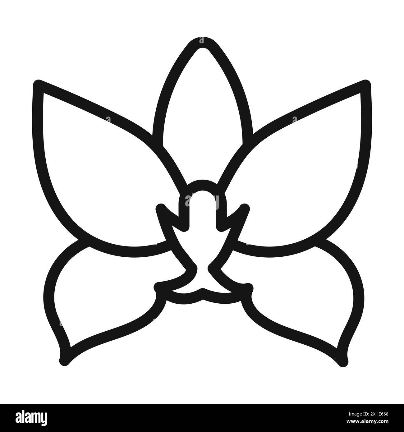Set isolated orchid in Cut Out Stock Images & Pictures - Alamy
