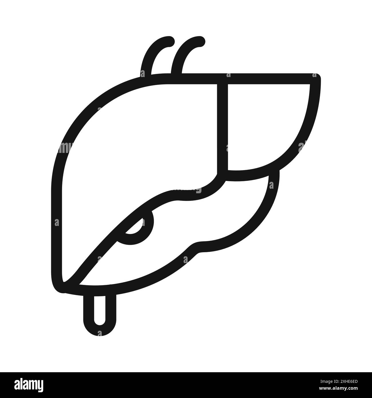 liver organ icon Vector symbol or sign set collection in black and ...