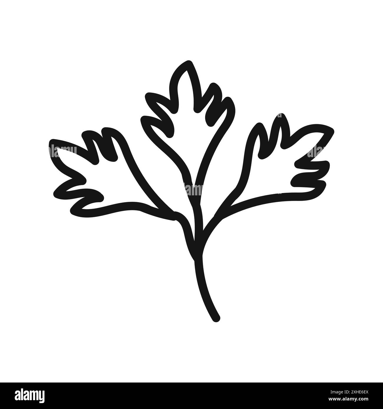 Parsley icon Vector symbol or sign set collection in black and white ...