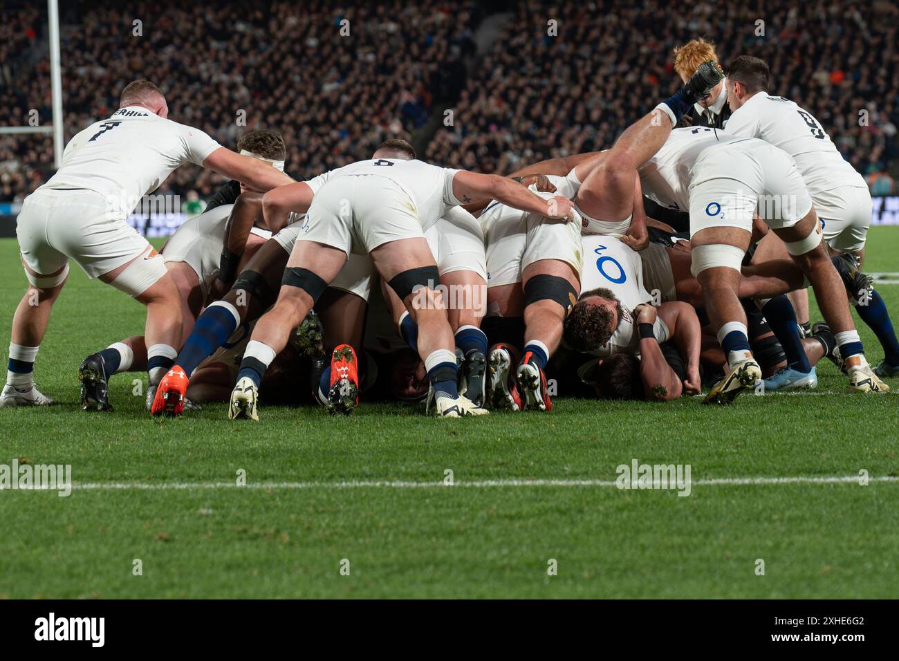 Steinlager ultra low carb series hi-res stock photography and images ...