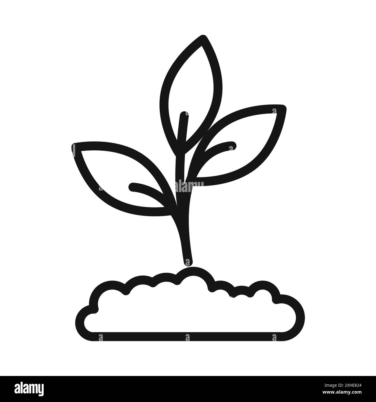 Seed in soil Stock Vector Images - Alamy