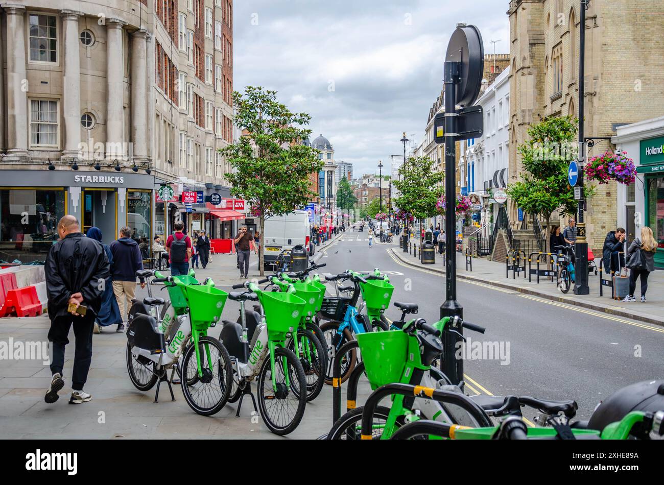 Green rental bikes available for hire on the pavement alongside ...