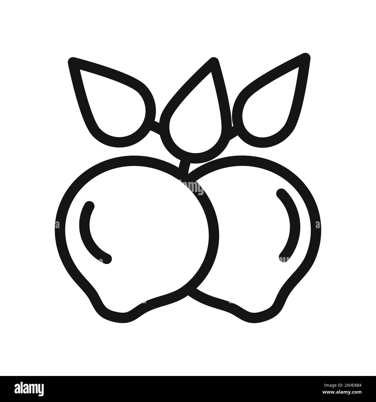 Yuzu icon Vector symbol or sign set collection in black and white ...