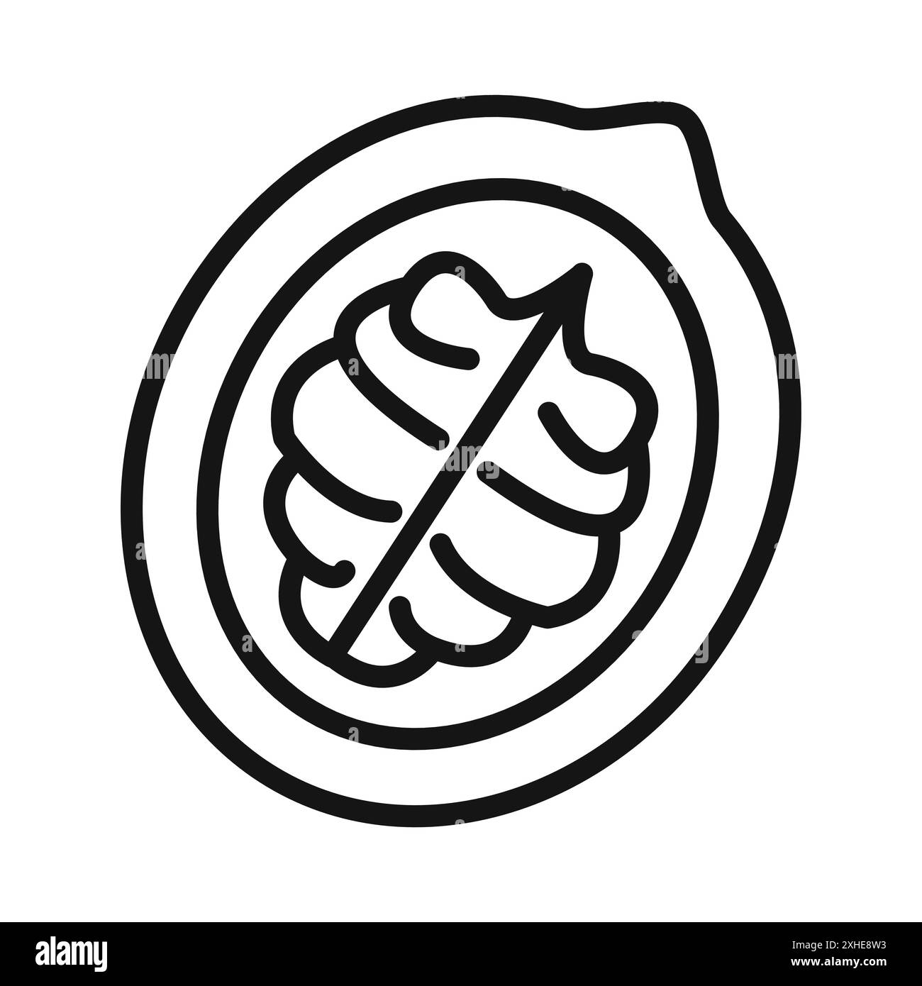 Walnut icon Vector symbol or sign set collection in black and white ...