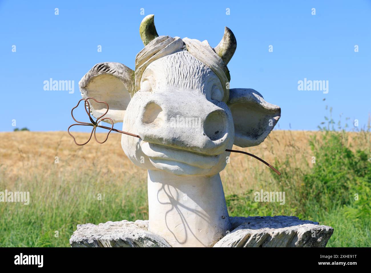 Tribute to the limousin cow hi-res stock photography and images - Alamy