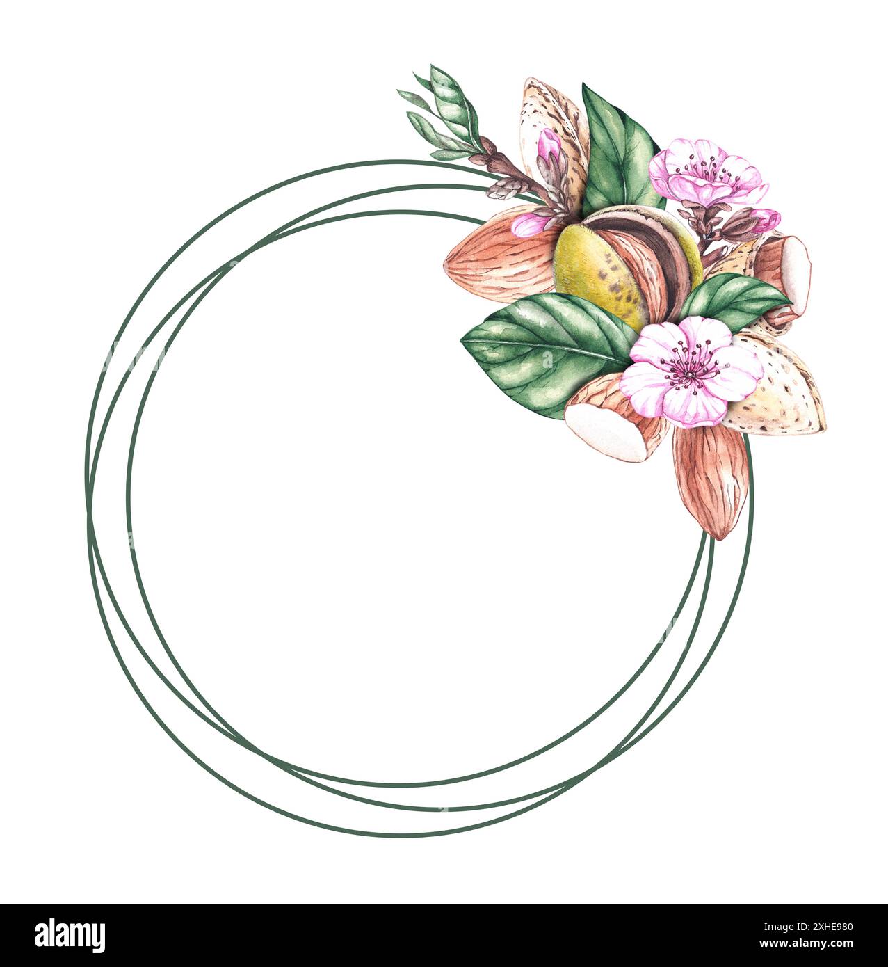 Almond wreath hand drawn. Watercolor frame of almond nuts, flowers and ...