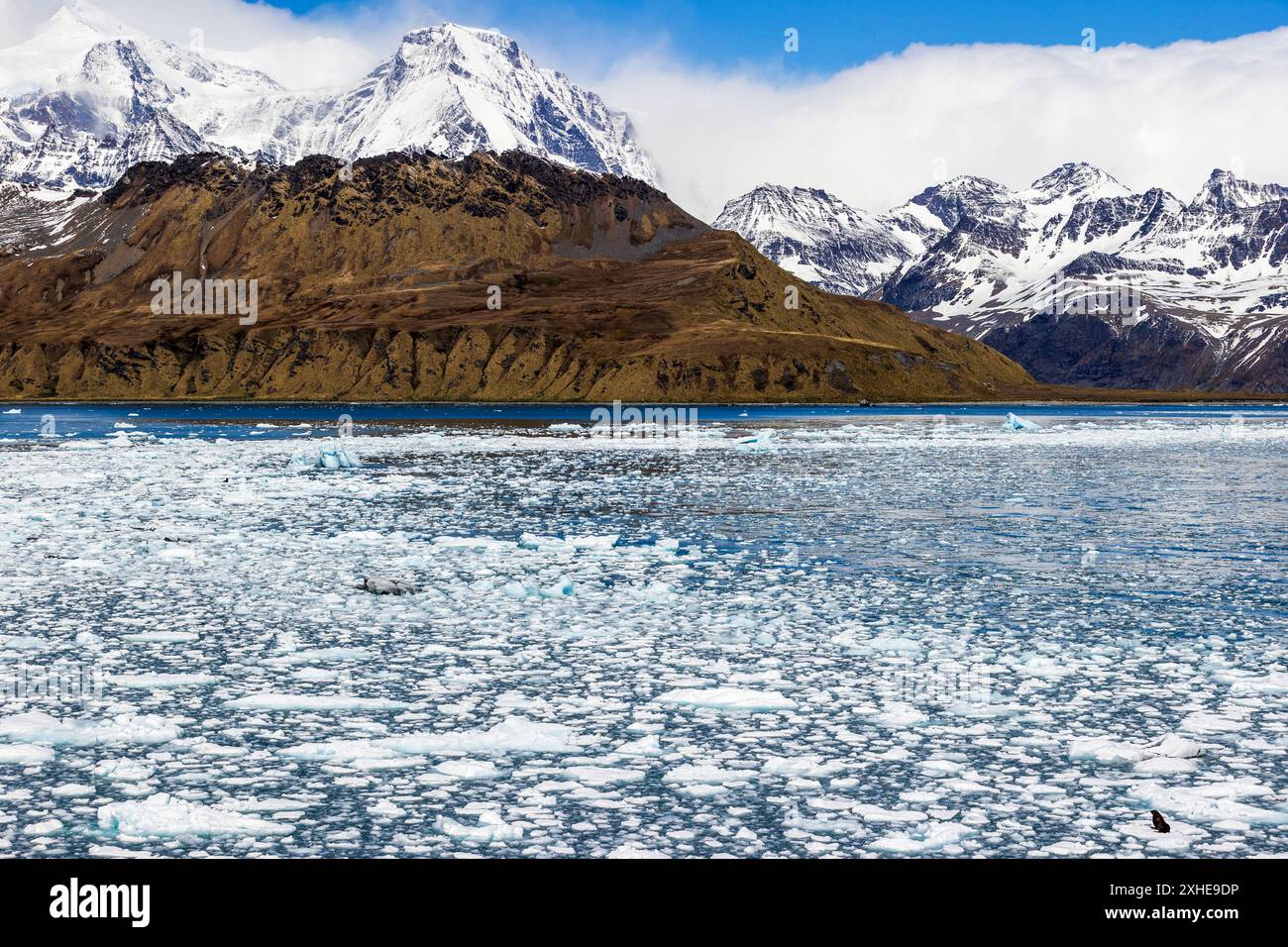 Cumberland East Bay, South Georgia Island, Tuesday, November 28, 2023 ...