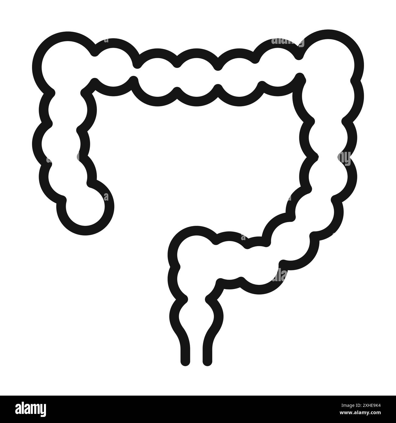Large intestine icon Vector symbol or sign set collection in black and ...