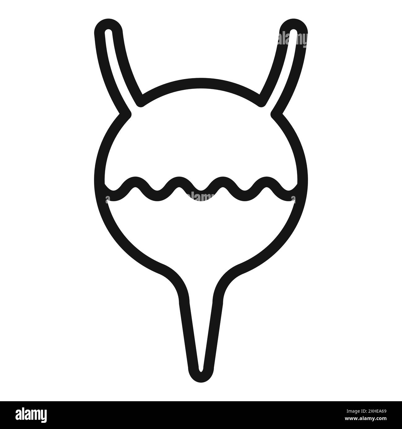 Urinary bladder icon Vector symbol or sign set collection in black and ...