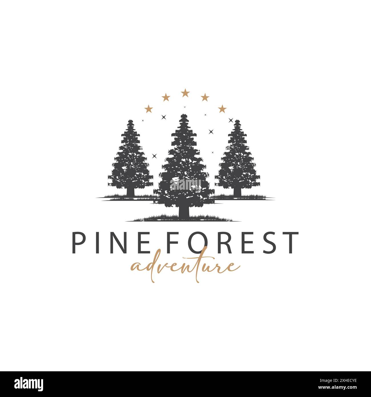 Forest Logo, Vector Forest Wood With Pine Trees, Design Inspirational ...