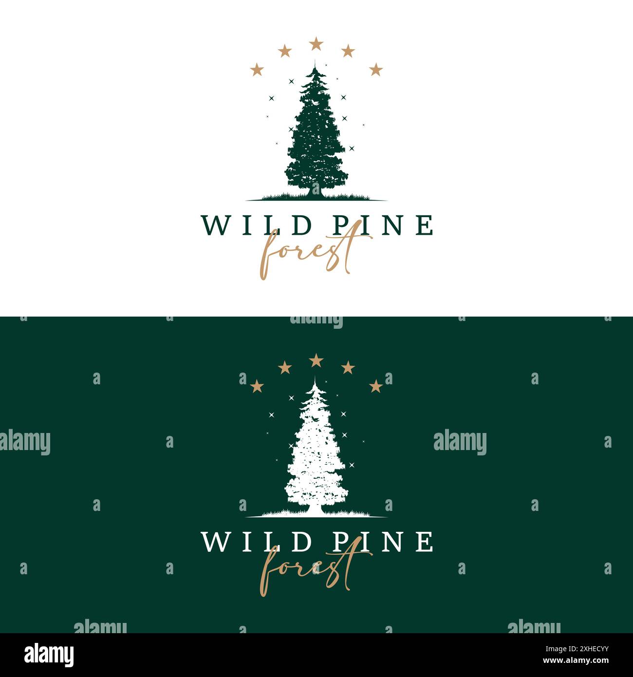 Forest Logo, Vector Forest Wood With Pine Trees, Design Inspirational ...