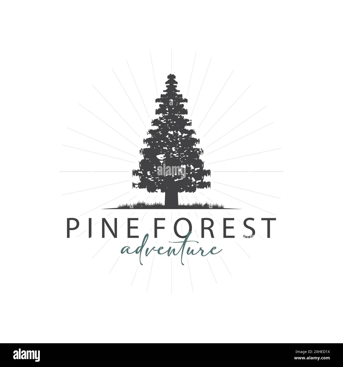 Forest Logo, Vector Forest Wood With Pine Trees, Design Inspirational ...