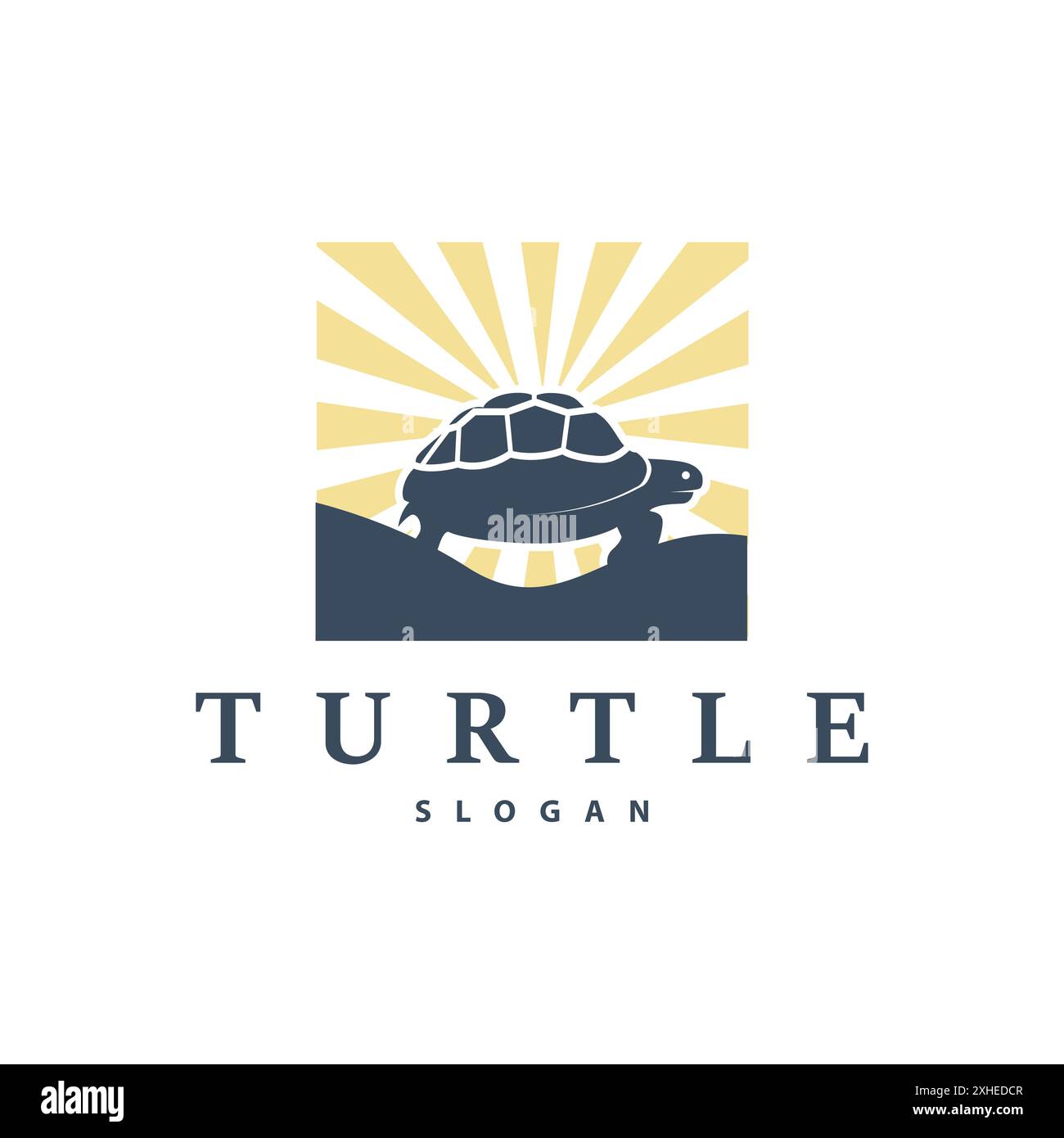 Turtle Logo Design Vector Illustration Symbol Template Stock Vector ...