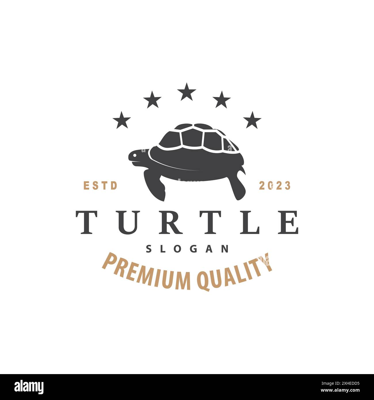 Hawksbill turtle silhouette underwater hi-res stock photography and ...