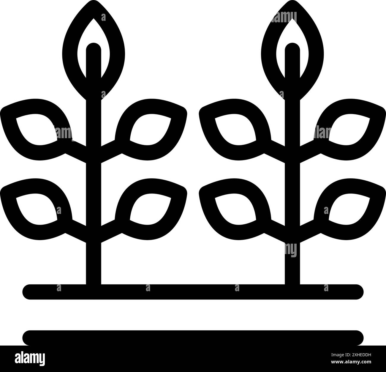 This simple agricultural icon represents two plants growing from the ...