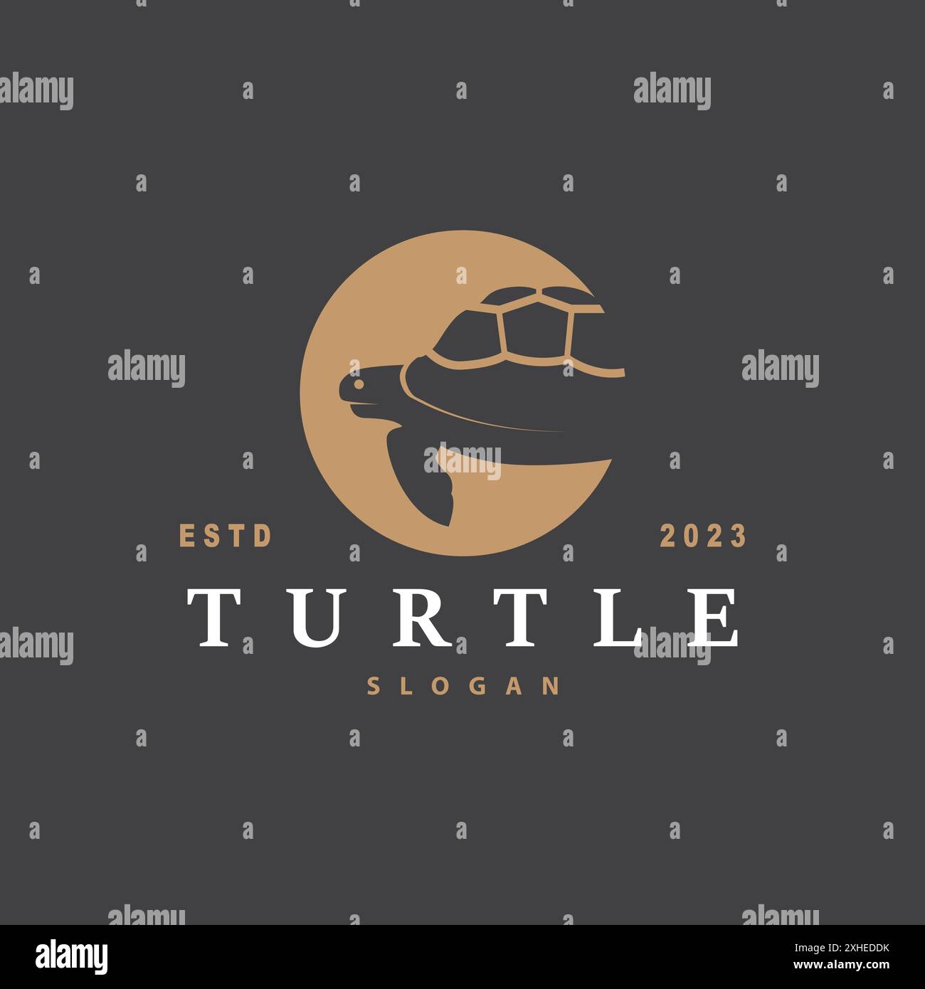 Turtle Logo Design Vector Illustration Symbol Template Stock Vector ...