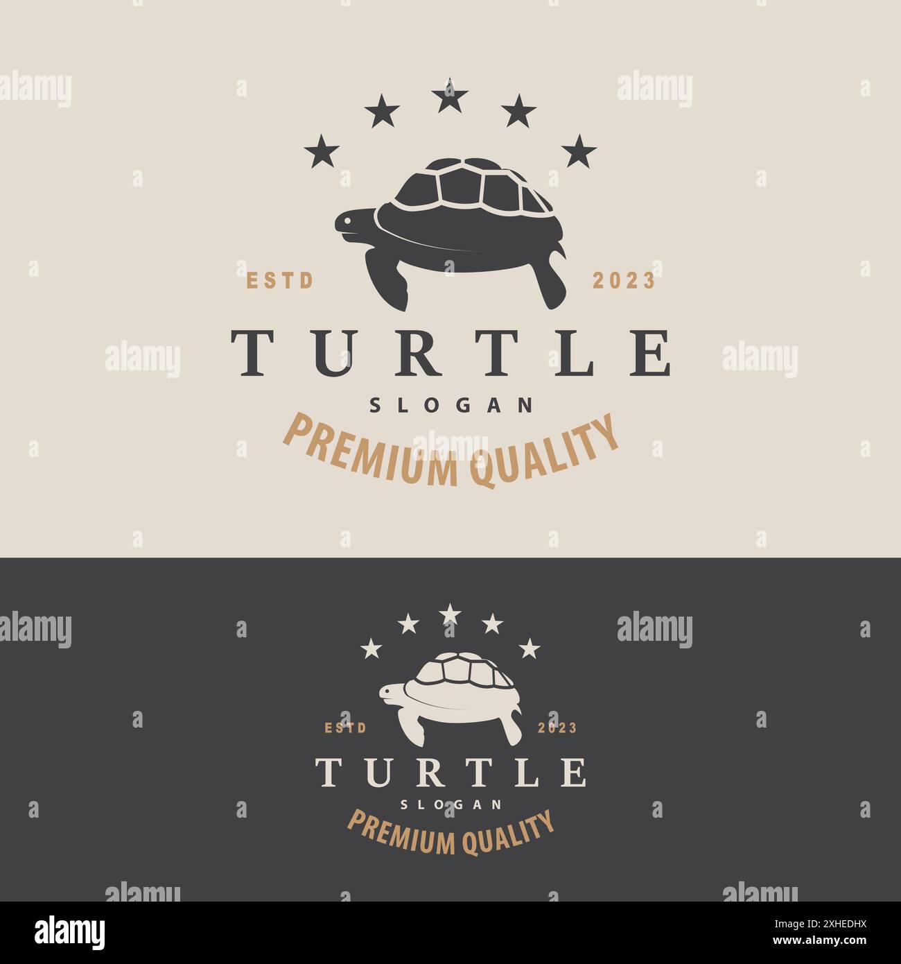Turtle Logo Design Vector Illustration Symbol Template Stock Vector ...