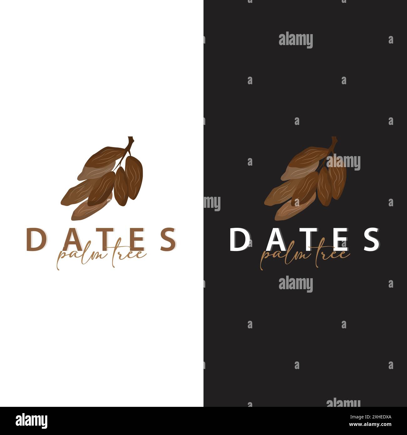 Medjool date palm tree Stock Vector Images - Alamy