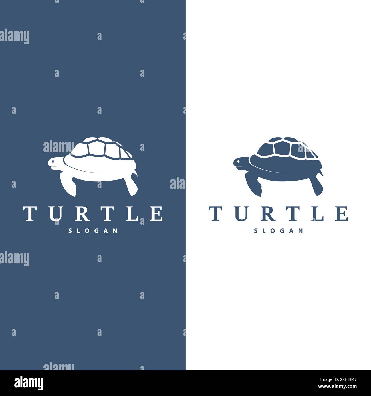 Turtle Logo Design Vector Illustration Symbol Template Stock Vector ...