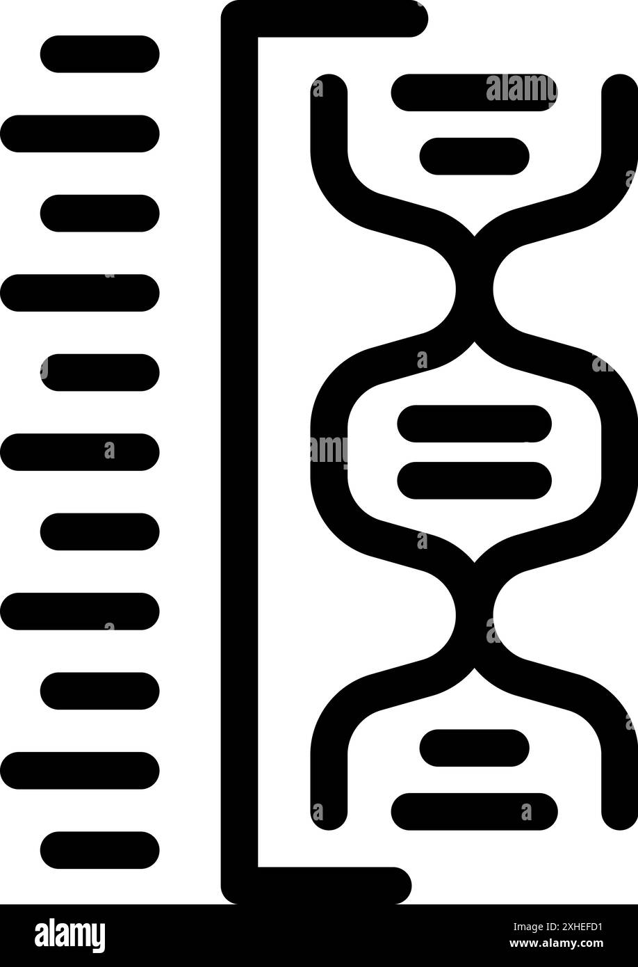 Dna structure being analyzed and measured with a ruler Stock Vector ...
