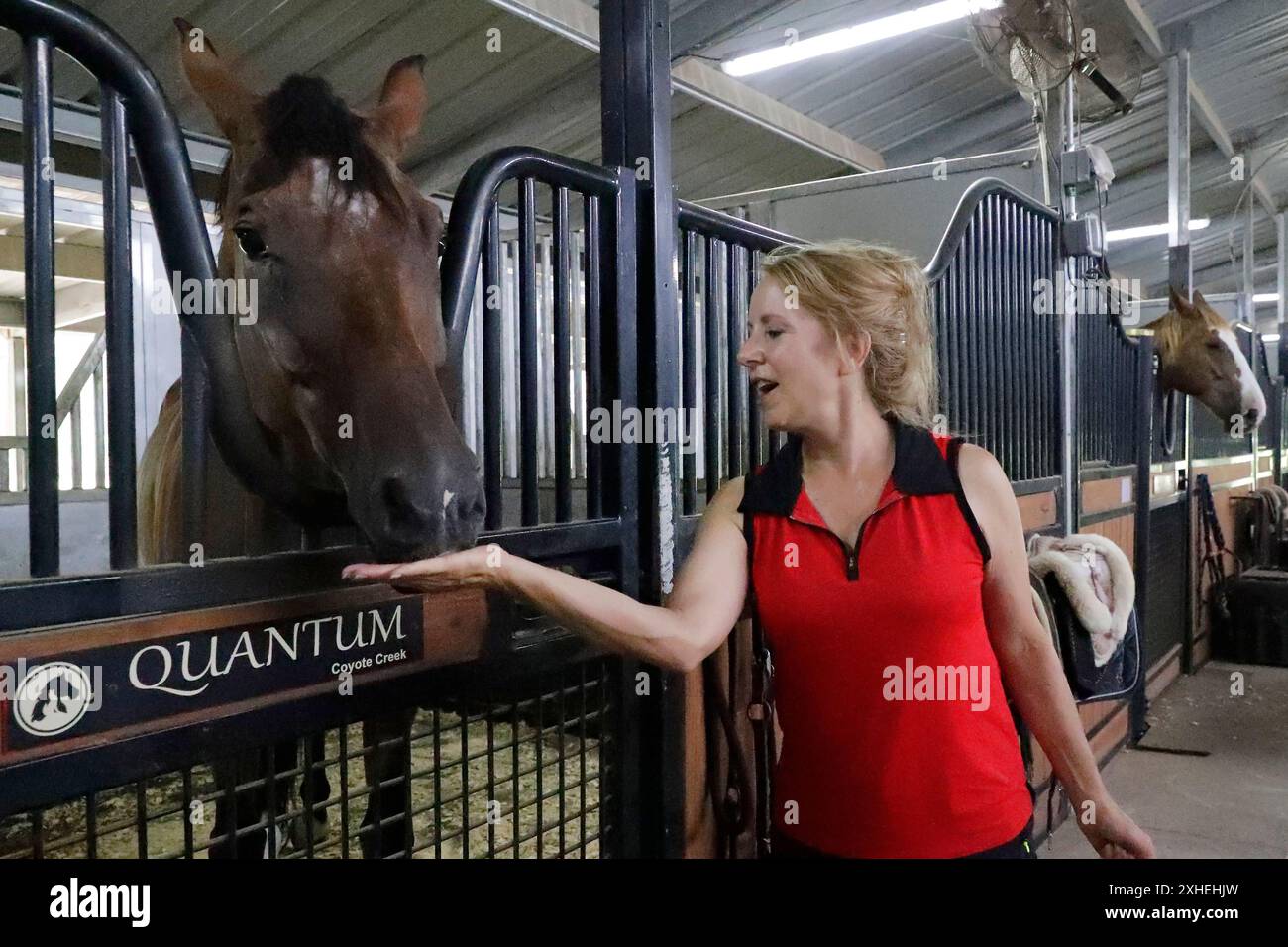 Tracy Hord, who with her husband Greg, own Coyote Creek Sporthorses ...