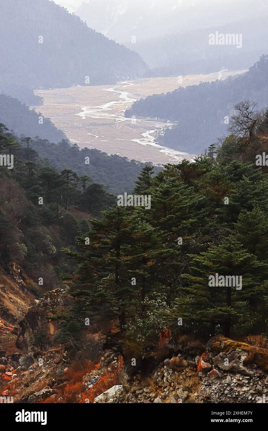 scenic mountain landscape of himalaya, coniferous forest and valley ...