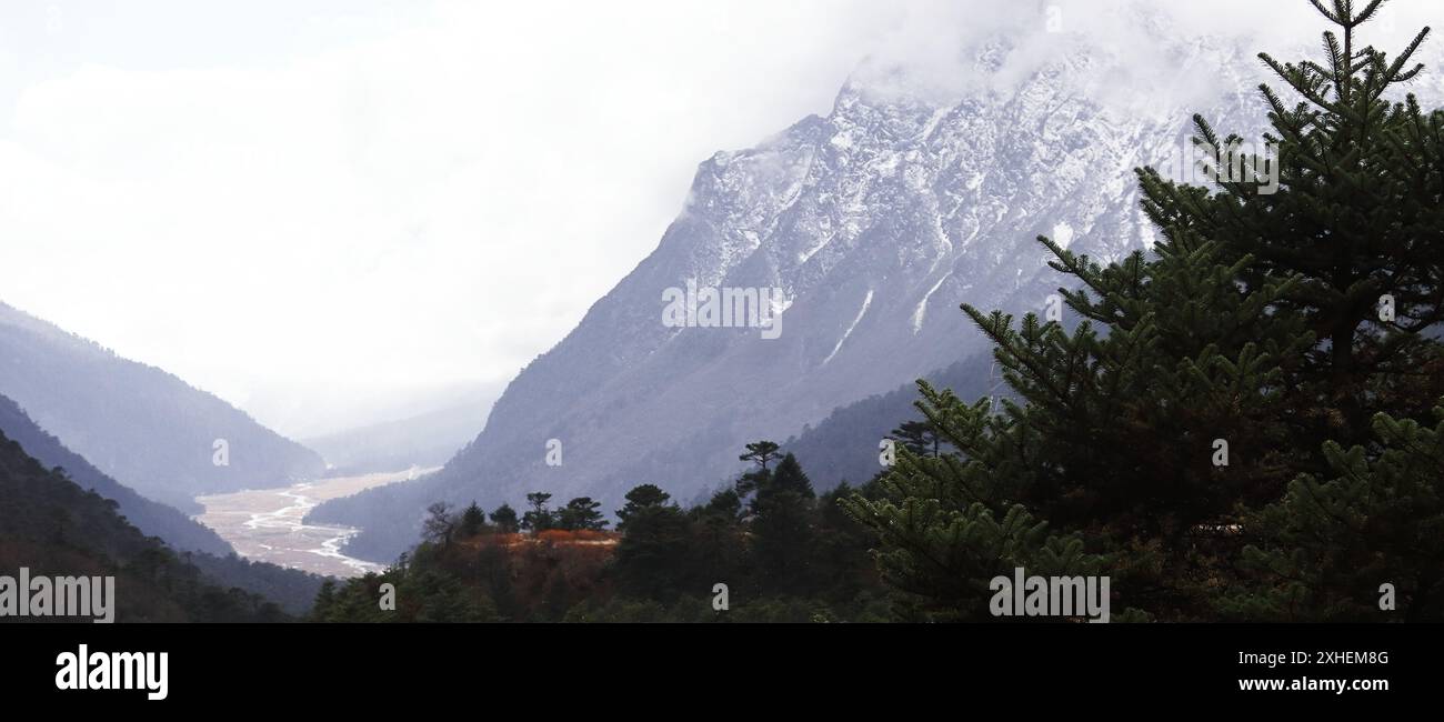 scenic mountain landscape of himalaya, coniferous forest and valley ...