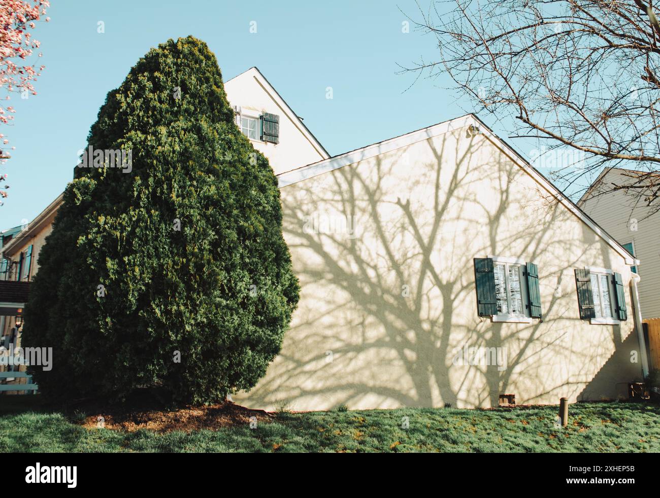 A residential home in Pennsylvania with midday tree shadows and cypress ...