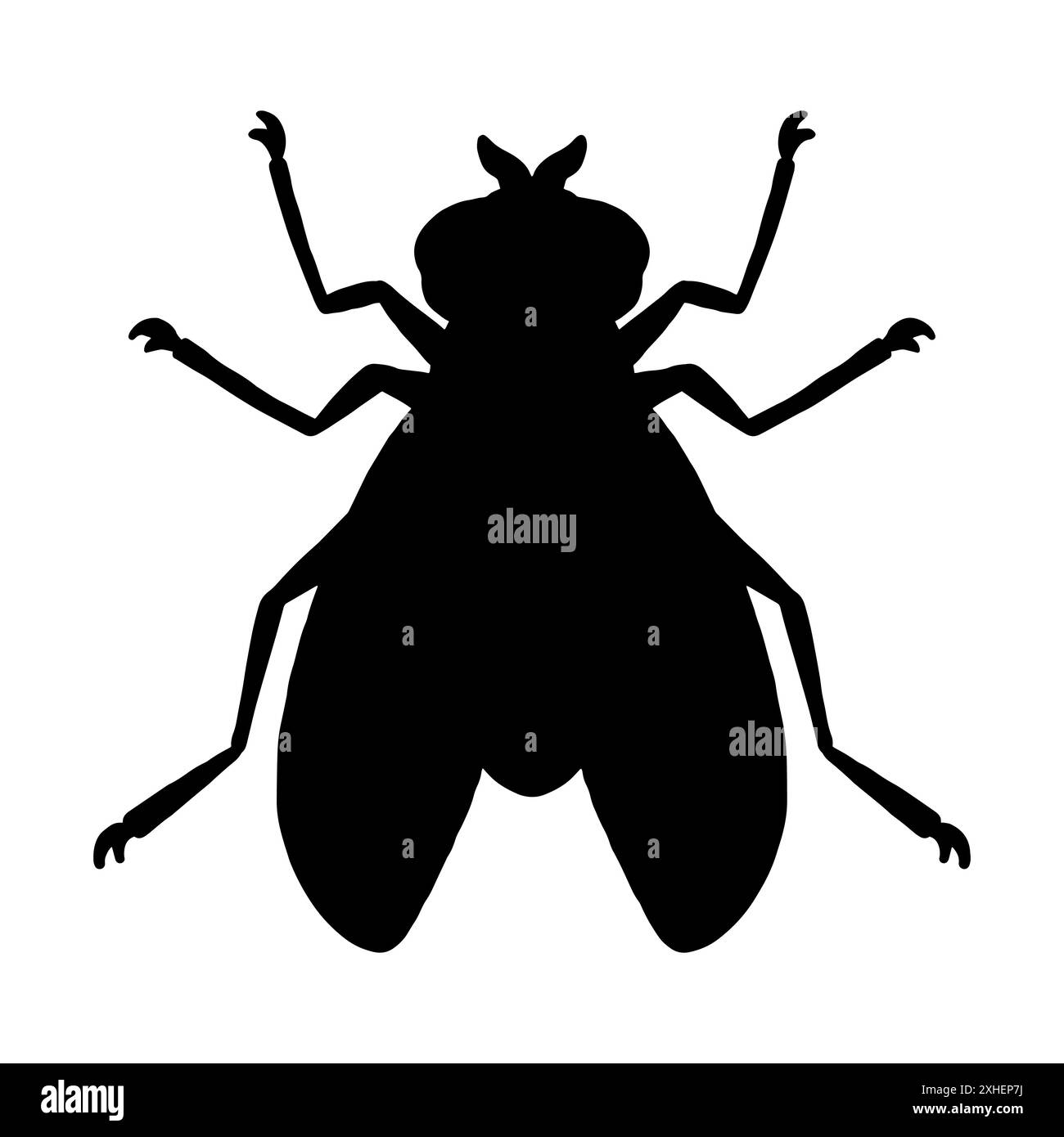 Fly insect. Black silhouette. Design element. Vector illustration ...