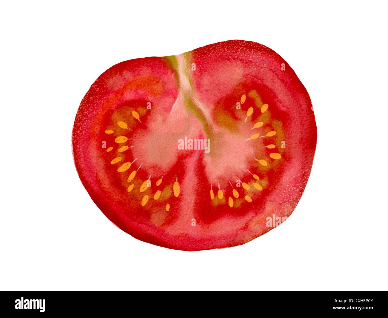 Highquality photo of a ripe, organic tomato, sliced open to show seeds ...