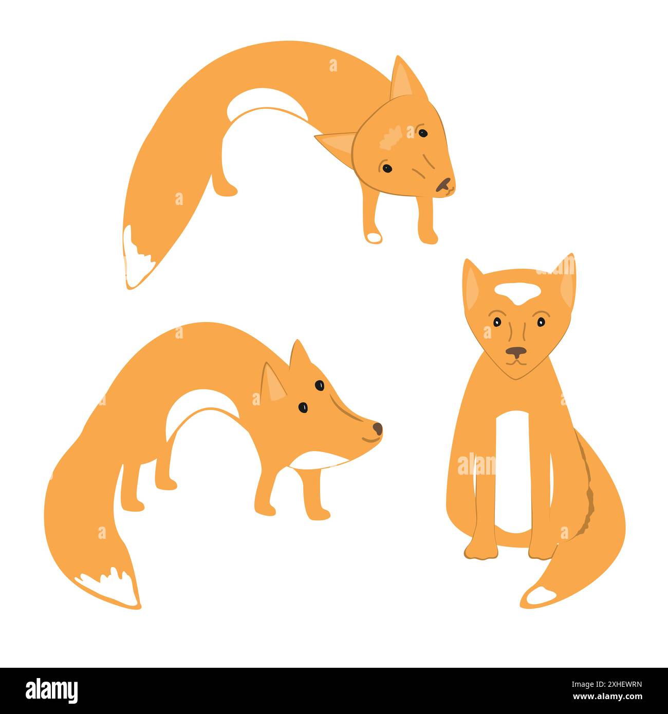 Set of cute fox cubs in different poses. Wild red Fox icons isolated on ...
